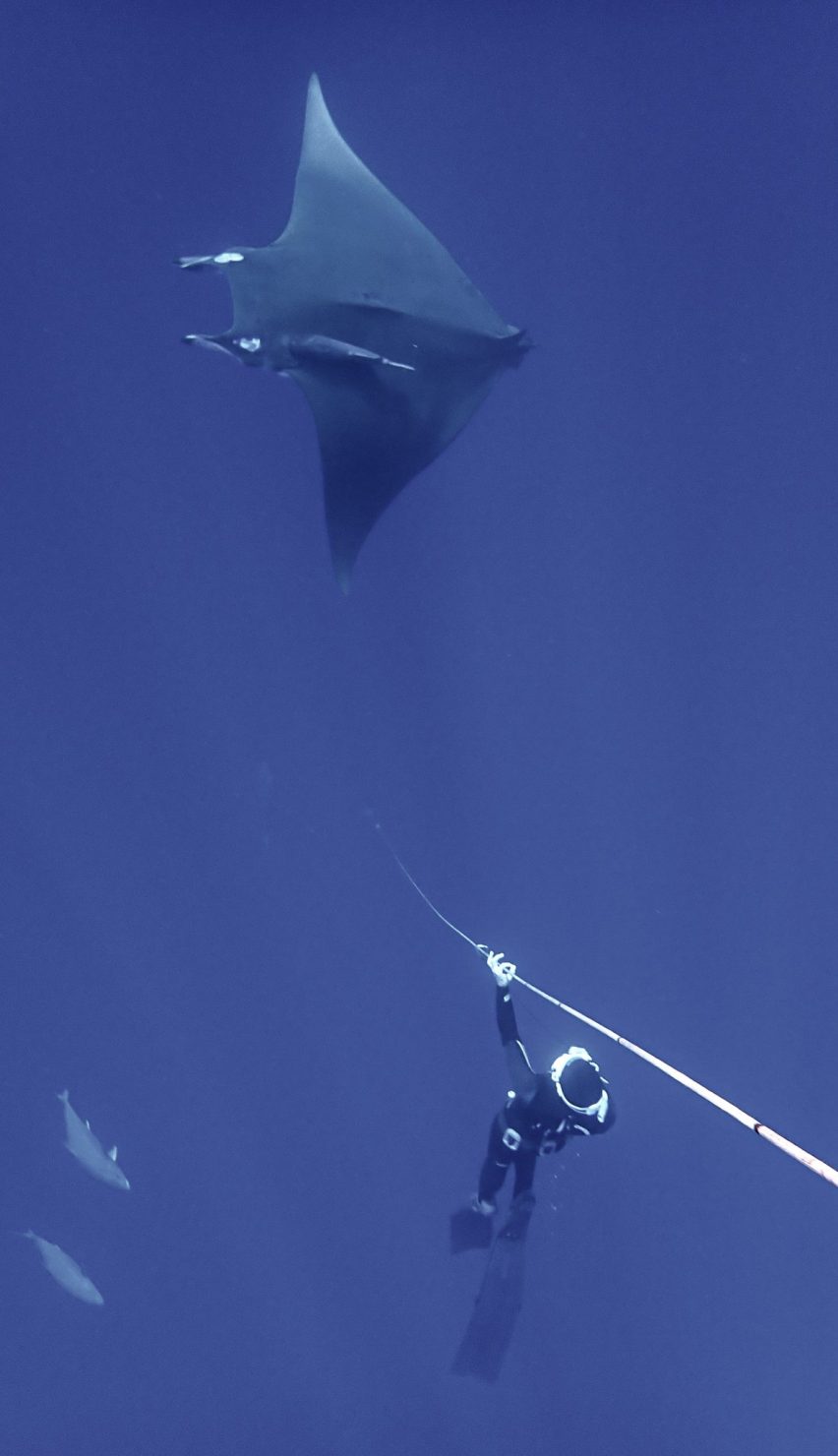 Classes - Azores Freediving